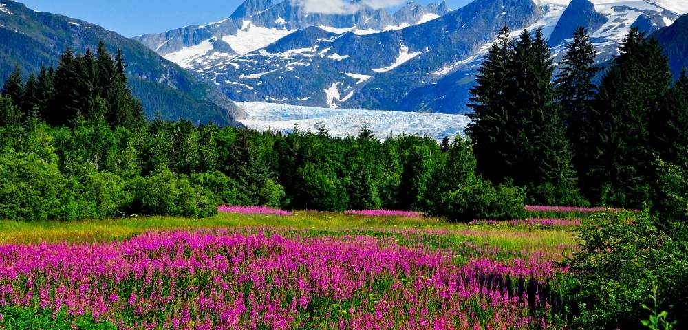 All Packages in Alaska | Flight Centre