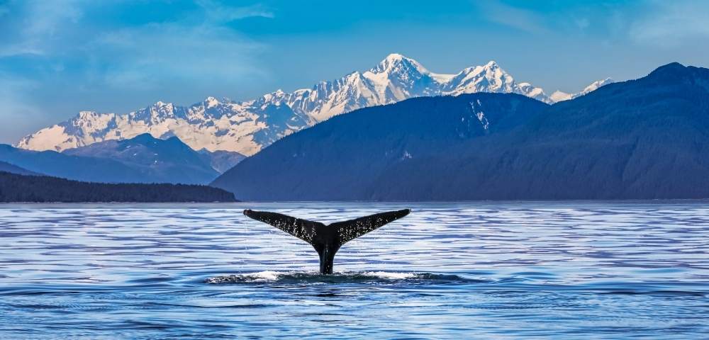 All Packages in Alaska | Flight Centre