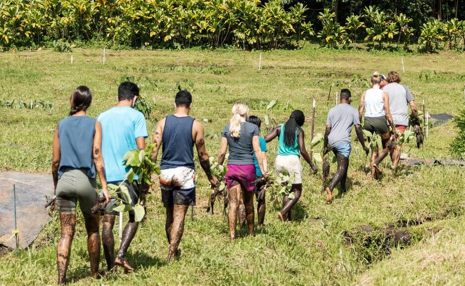 What is Malama? - My Hawaii